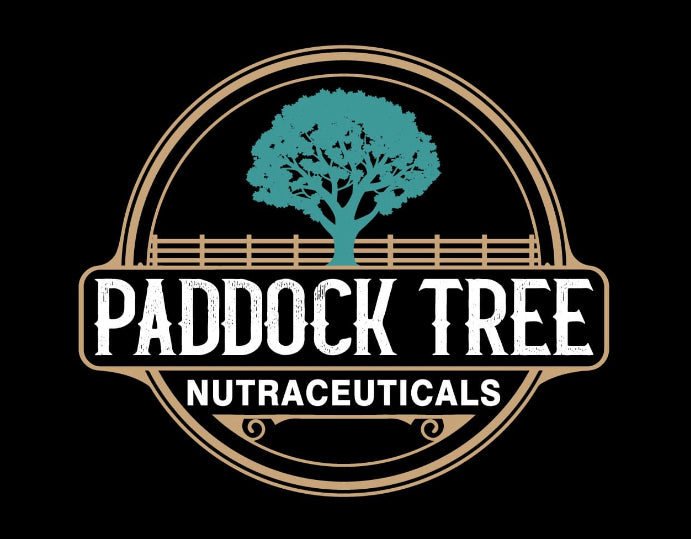 Paddock Tree Nutraceuticals - Nutrition from the Ground Up