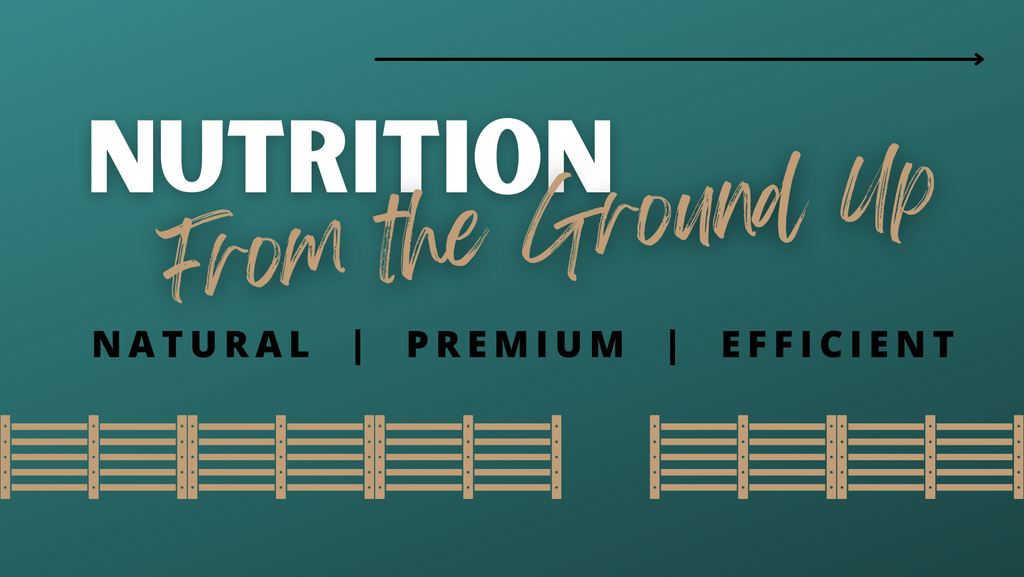 Paddock Tree Nutraceuticals - Nutrition from the Ground Up