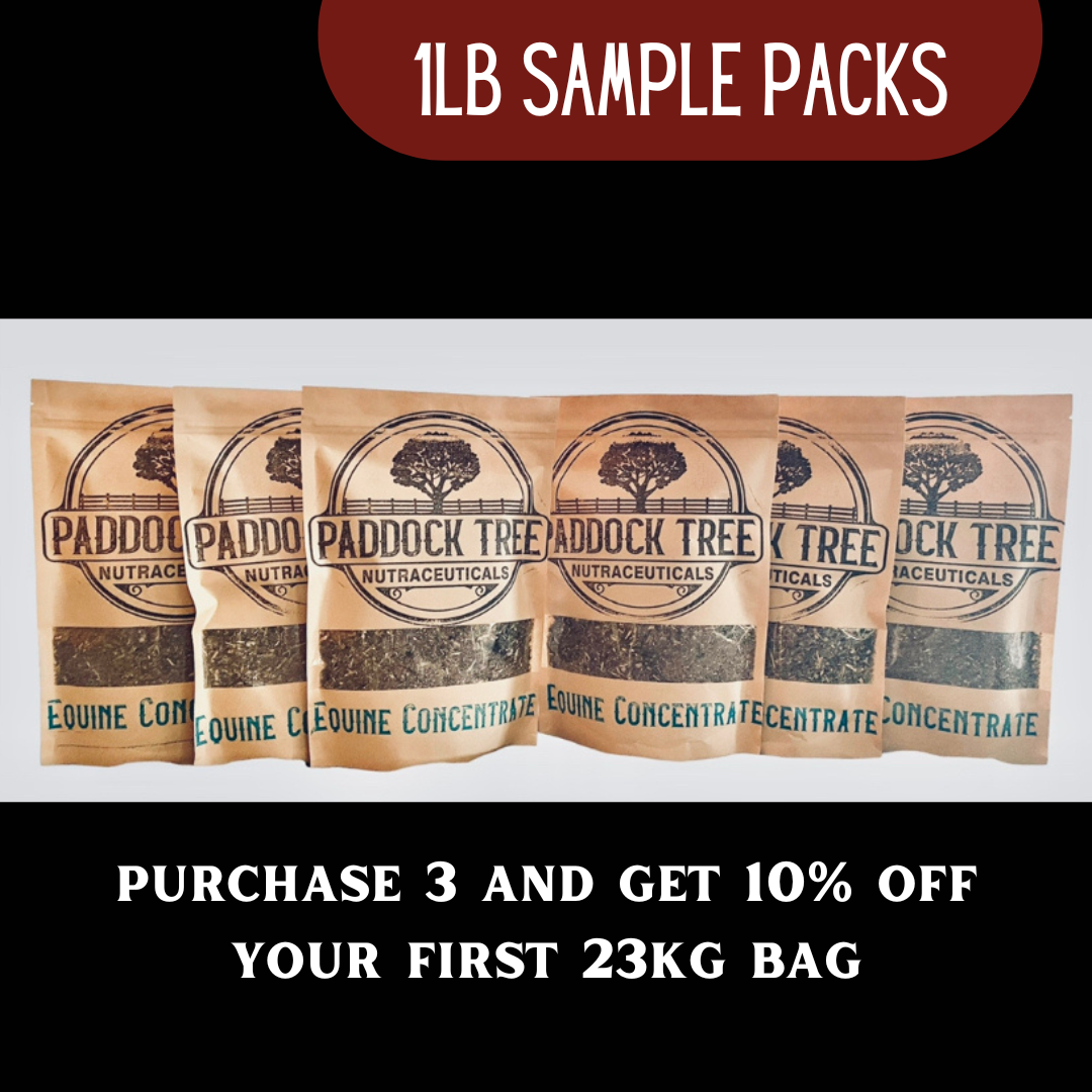 Sample Pack - Paddock Tree Equine Concentrate – Paddock Tree Nutraceuticals
